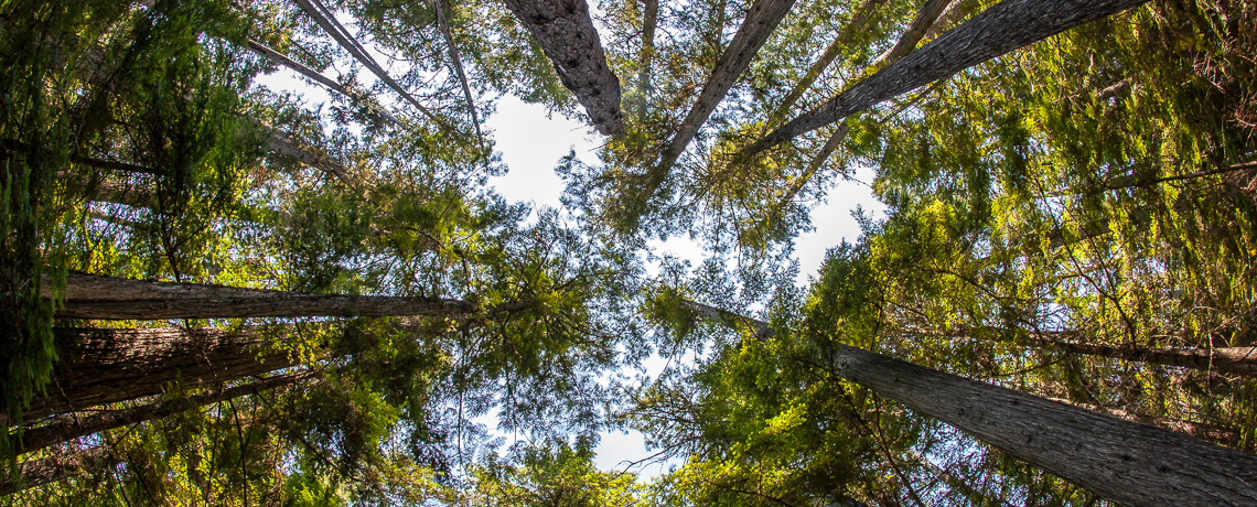 Staying the Course - Church of God